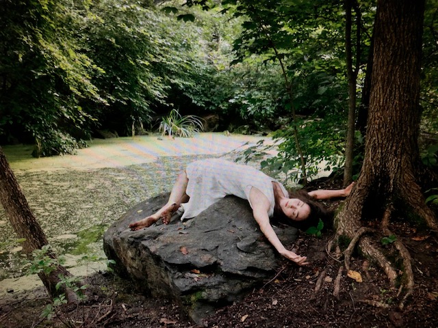 PIERIDAE (2020) – Alison Cook Beatty Dance